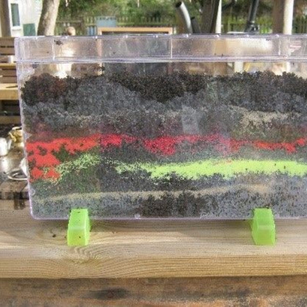 Nursery Federation - Wormery