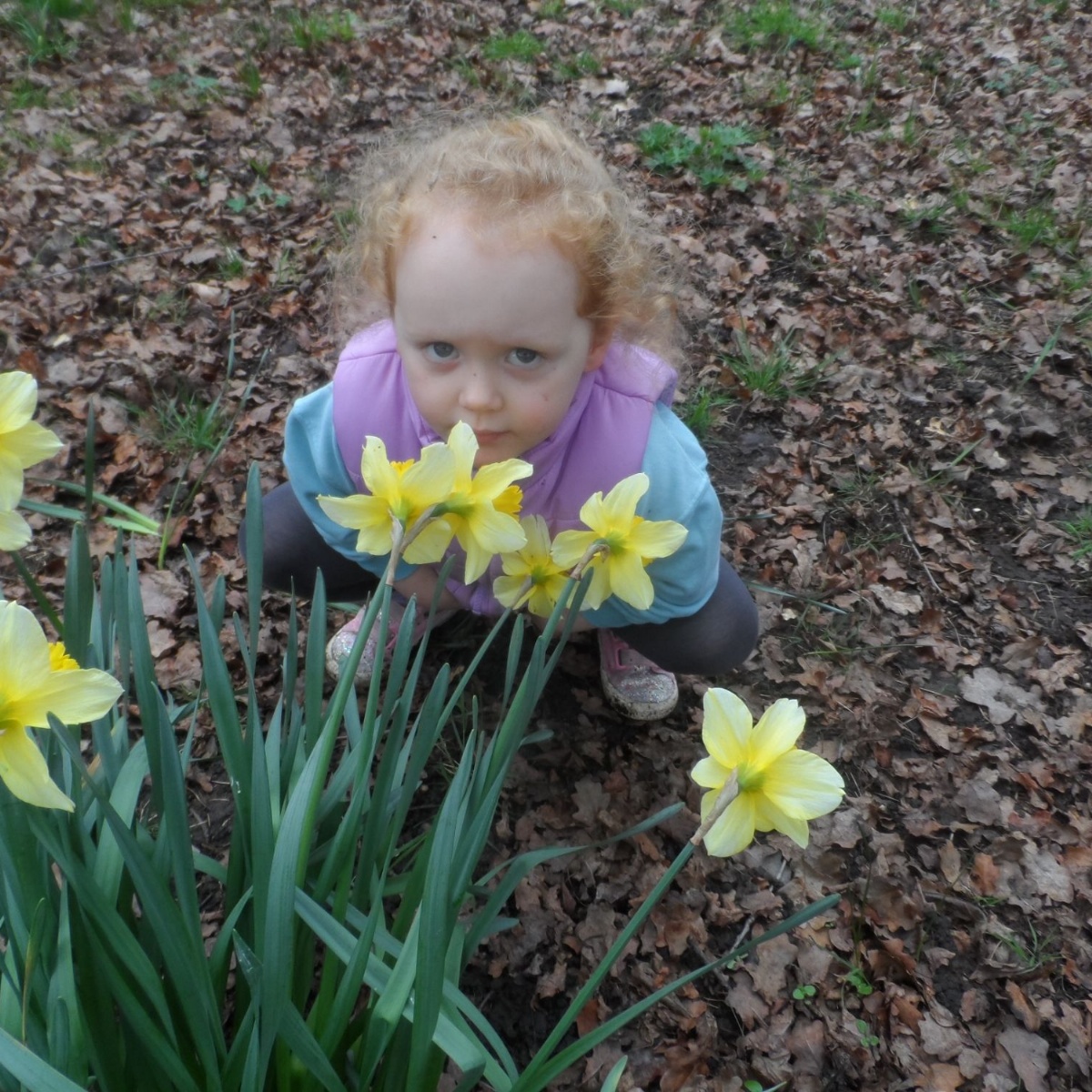 Nursery Federation - Spring Walks at Oakfield First School