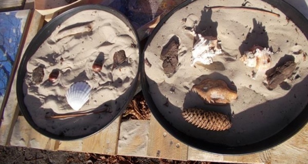 Nursery Federation - Transient Art