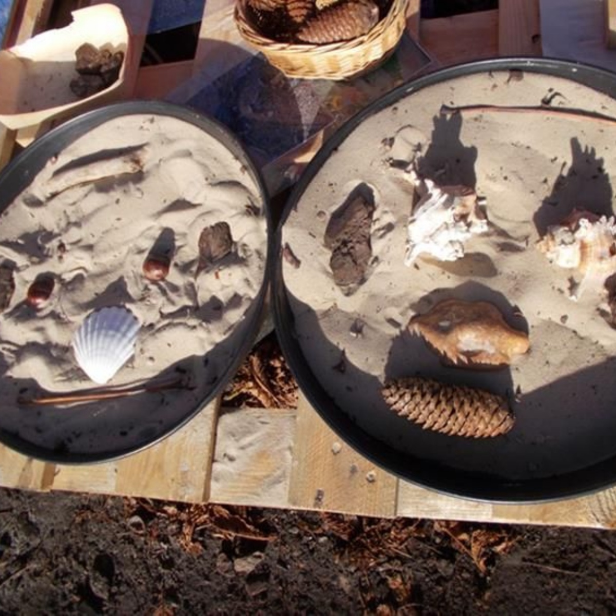 Nursery Federation - Transient Art